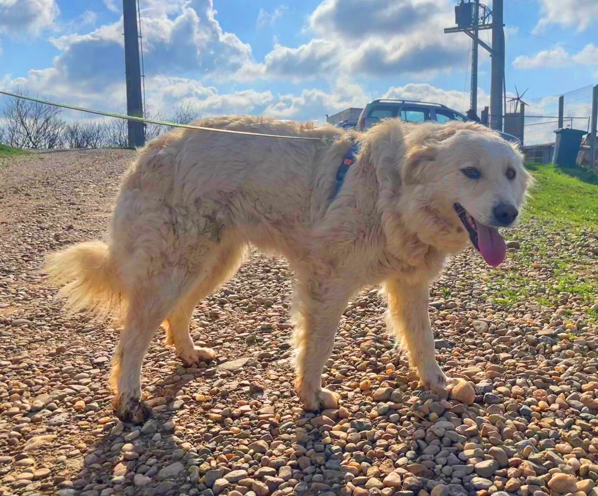 ITV Grenzenlos e.V. » Alba